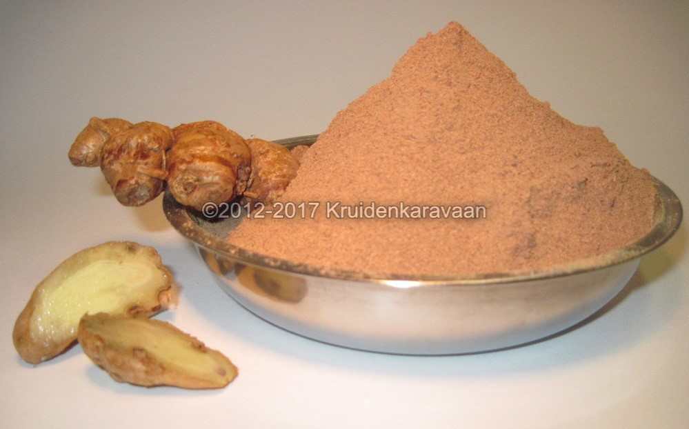 Kentjoer – Kentjur – Kencur – gemalen galangawortel - Kruidenkaravaan